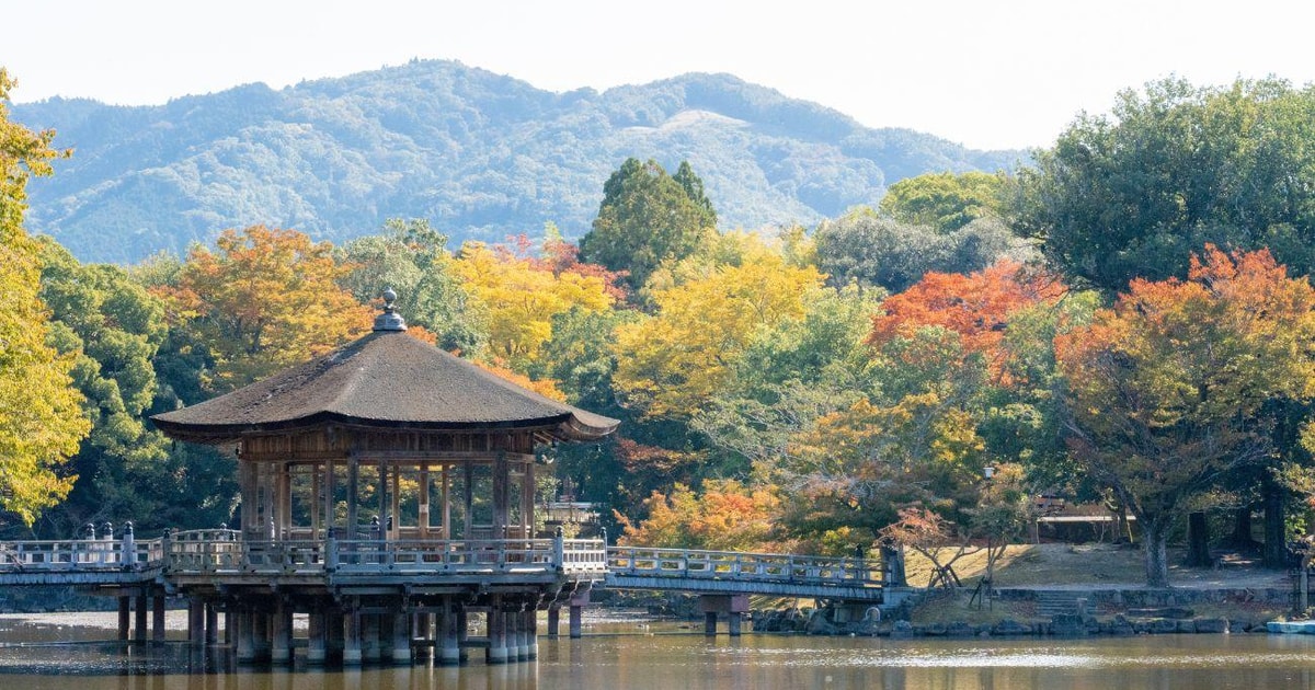 Nara: Tour privado de la ciudad con guía local | GetYourGuide