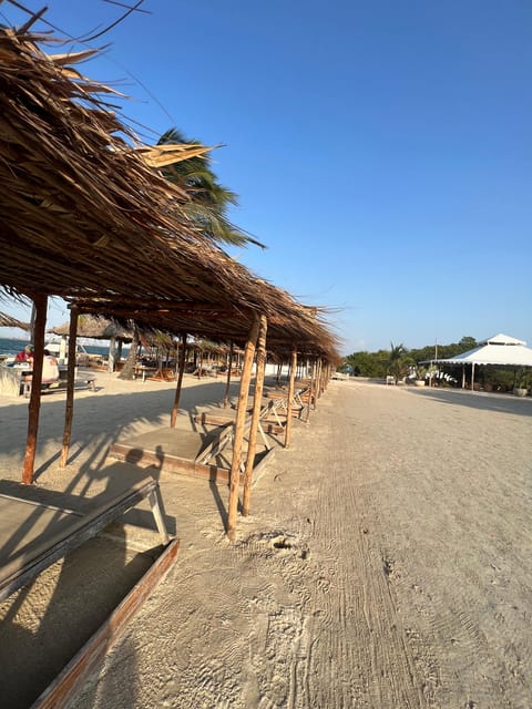 Cartagena: Isla Tierra Bomba beach club:Day Pass with Lunch | GetYourGuide