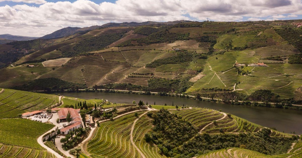 Quinta Nova: Prova Douro Icon com Visita Guiada | GetYourGuide