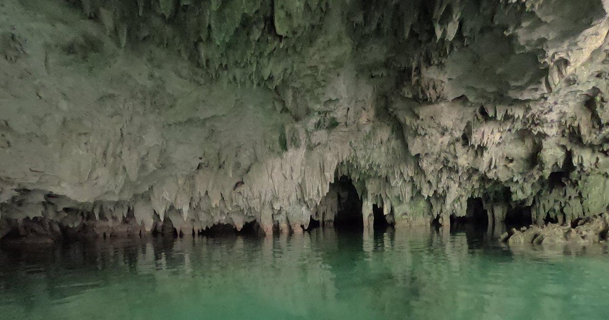 Tulum Cenoten: Yum Ha, Luna, und Sombra Cenotes Tour, Mittagessen ...