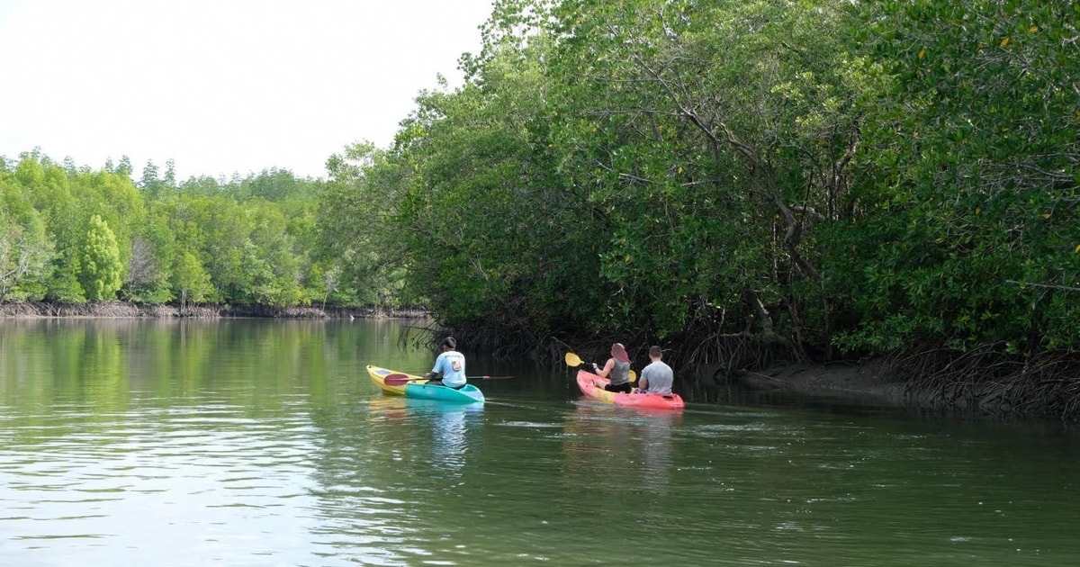Koh Lanta: Paddle Serenity & Thung Yee Pheng's Mangrove Maze | GetYourGuide