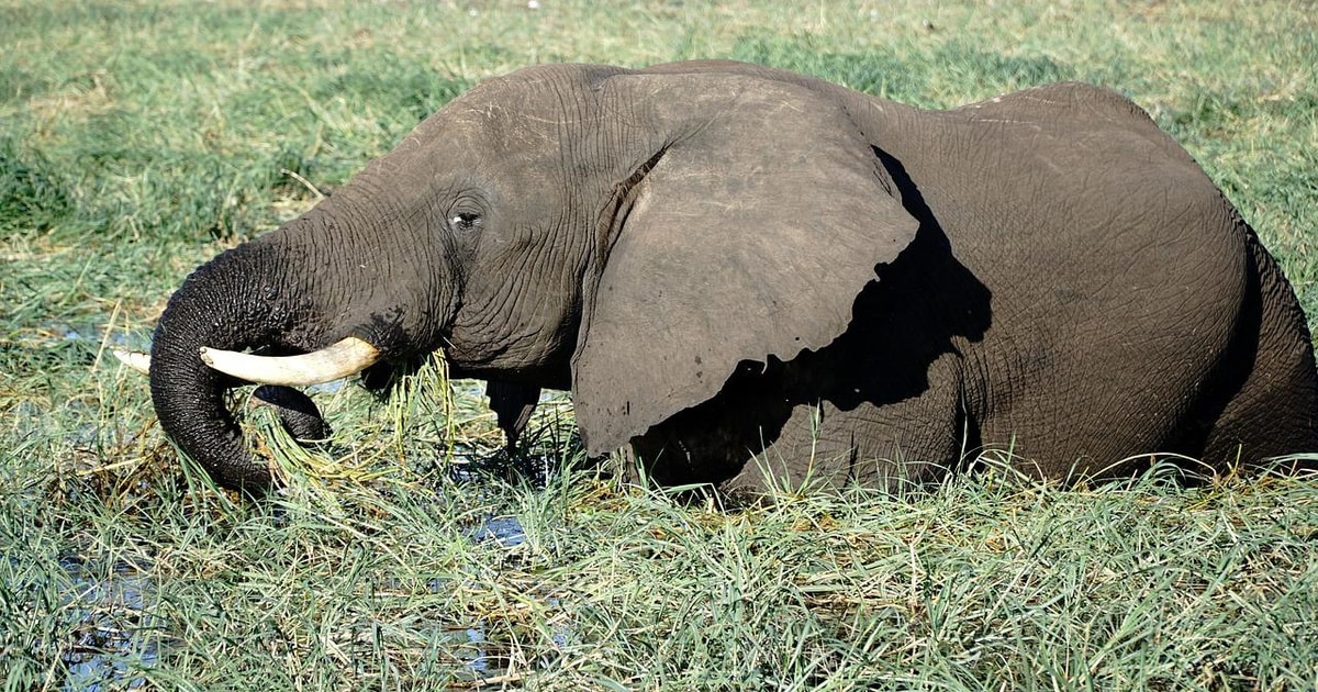 Ultimate 4-day Aberdare Camping: Mindful Mountain Escape | GetYourGuide