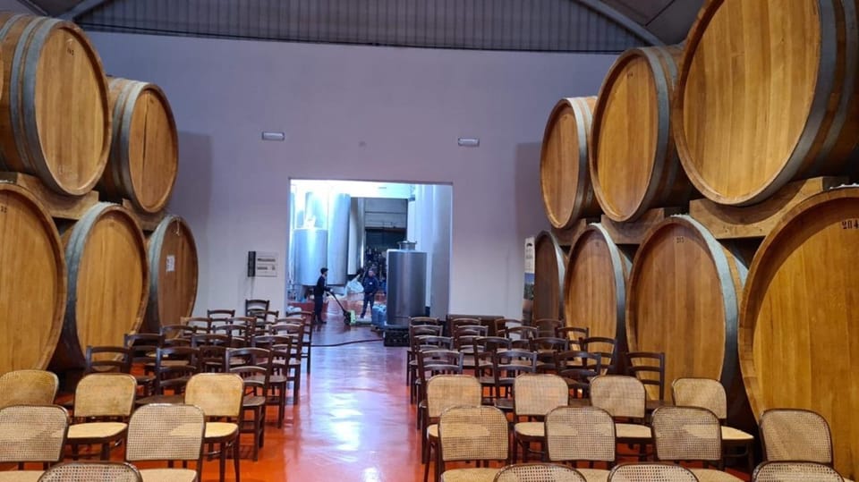 Marsala: tour delle cantine con degustazioni | GetYourGuide