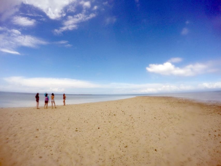 Bohol: Private Balicasag Tour with extra snorkeling time | GetYourGuide