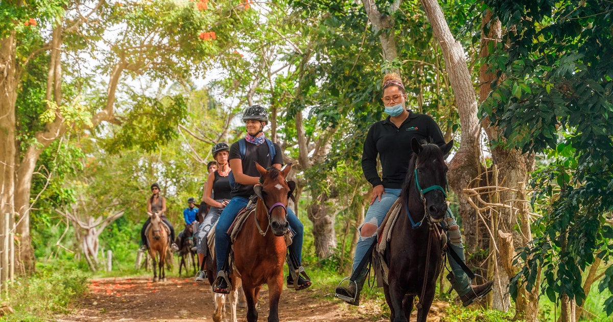 Parque de la selva tropical de Carabalí: recorrido a caballo por la ...