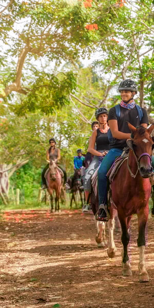 Carabalí Rainforest Park: Rainforest Horseback Riding Tour | GetYourGuide