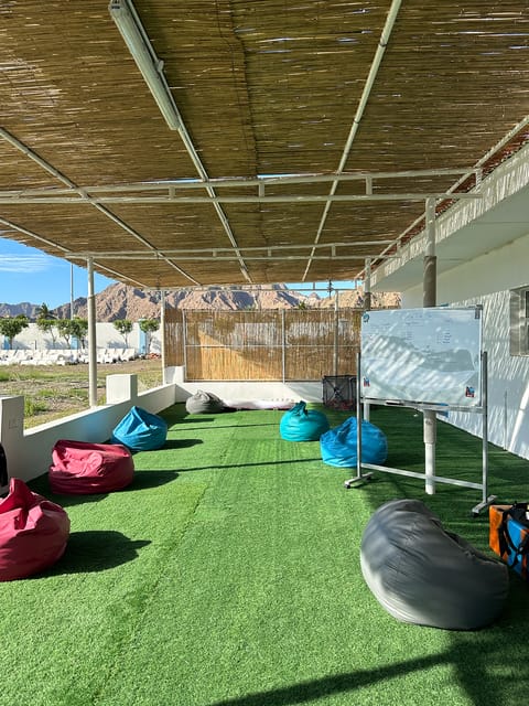 Dubai to Fujairah: Dive and Paddle Pool Day | GetYourGuide