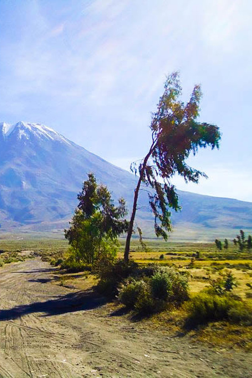 Excursión ascensión volcán Misti Arequipa | GetYourGuide
