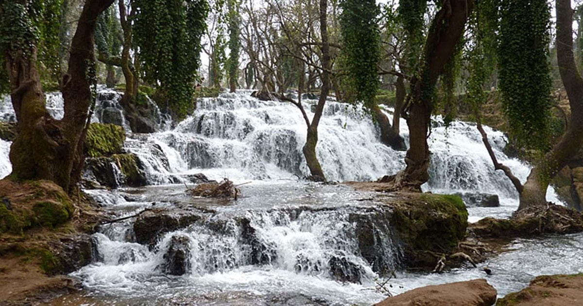 A Week Around Fez | GetYourGuide