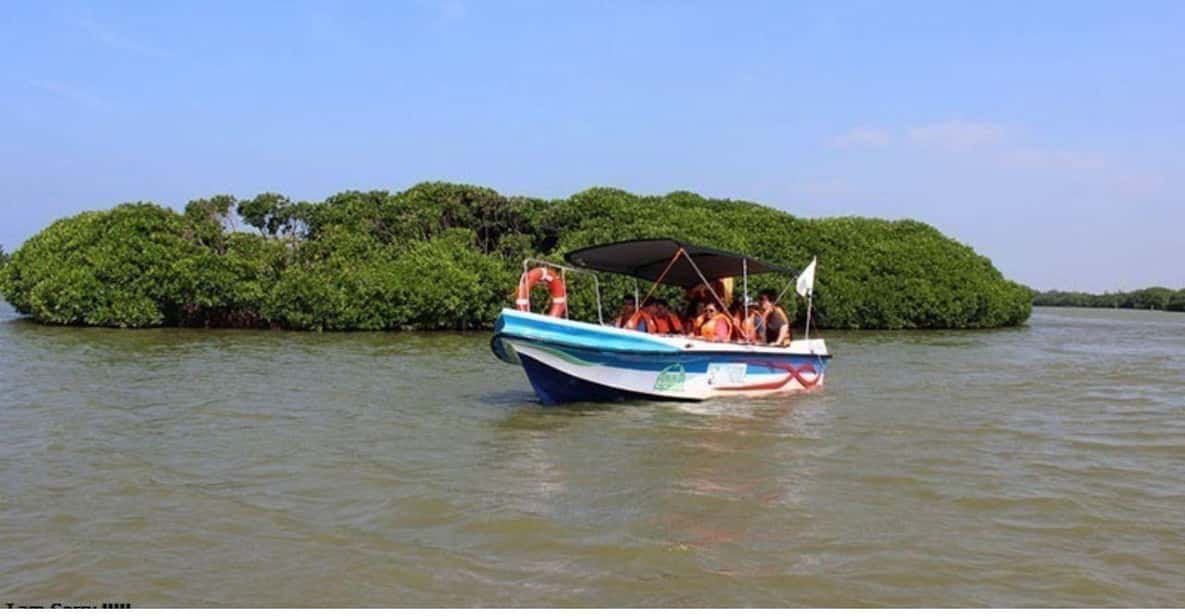 Negombo: Muthurajawela Wetland & Dutch Canal Boat Adventure | GetYourGuide