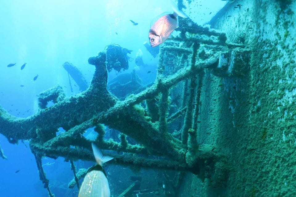 Larnaca: Zenobia Wreck Private Guided Dive | GetYourGuide