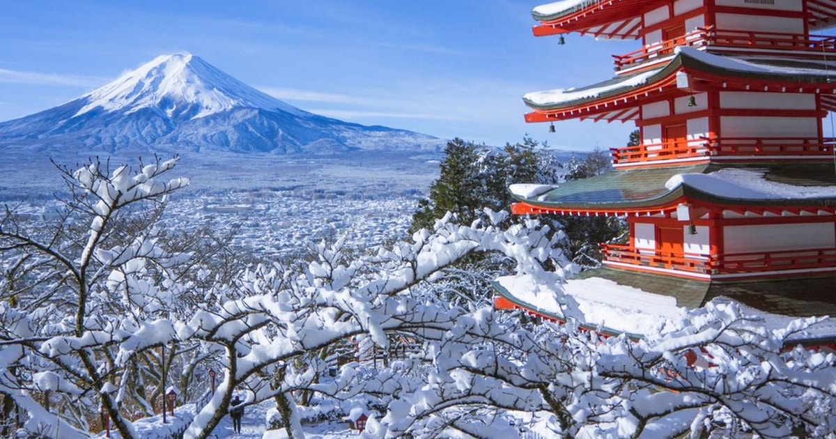 From Tokyo to the Clouds:A Private customize Mount Fuji Tour | GetYourGuide