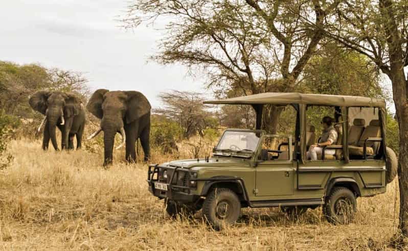 Cape Town to Durban Tour: 7-Day Garden Route and Wild Coast | GetYourGuide