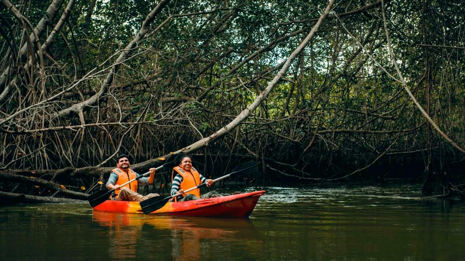 Santuario Nacional de los Manglares de Tumbes | GetYourGuide