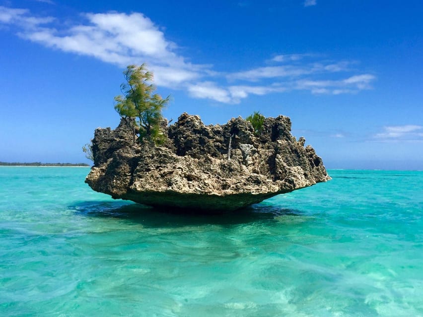 Mauritius: Dolphin trip | GetYourGuide
