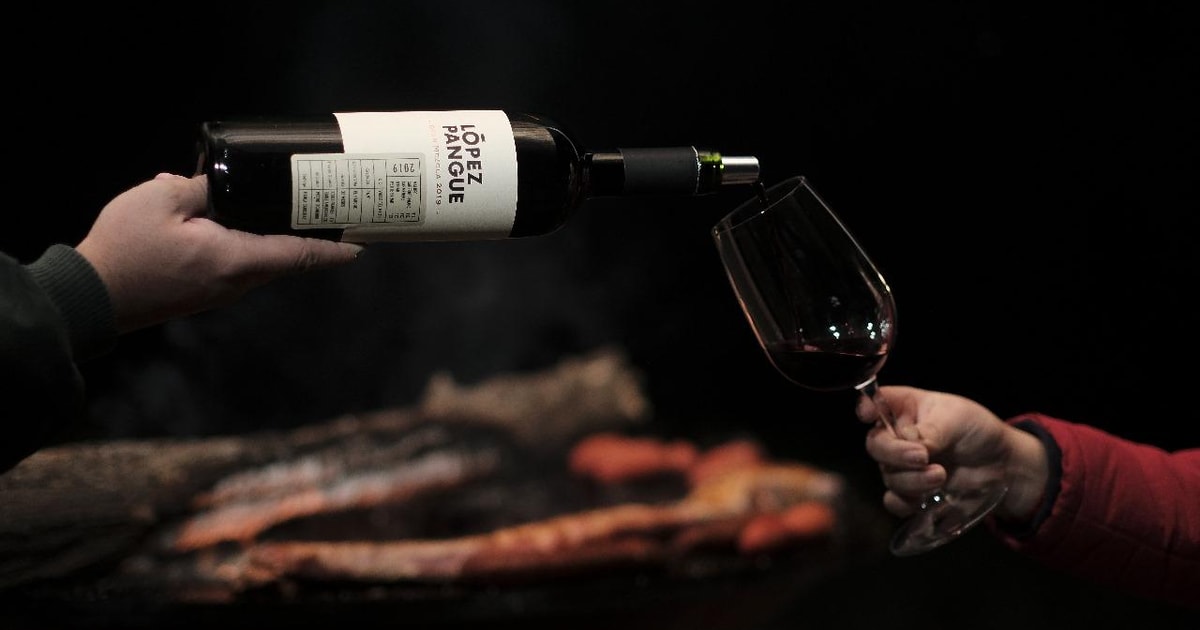 El Pangue Wine Tour | GetYourGuide