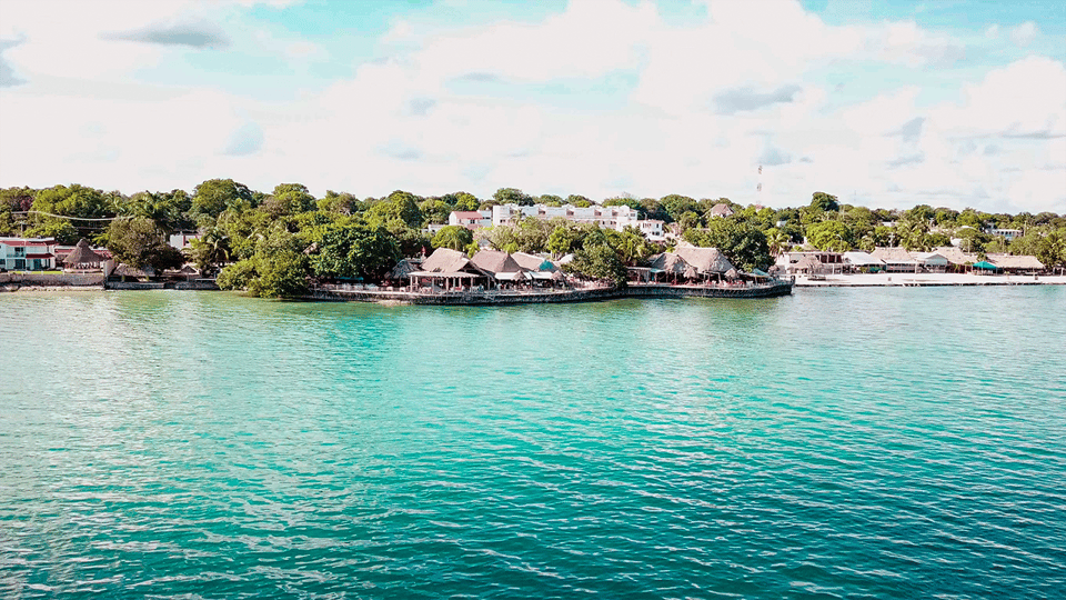 Recorrido a pie y comida callejera en Calderitas México | GetYourGuide