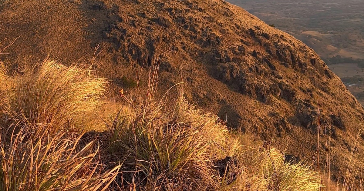 Guanacaste: Cerro Pelado Hike & La Piedra del Indio Tour | GetYourGuide