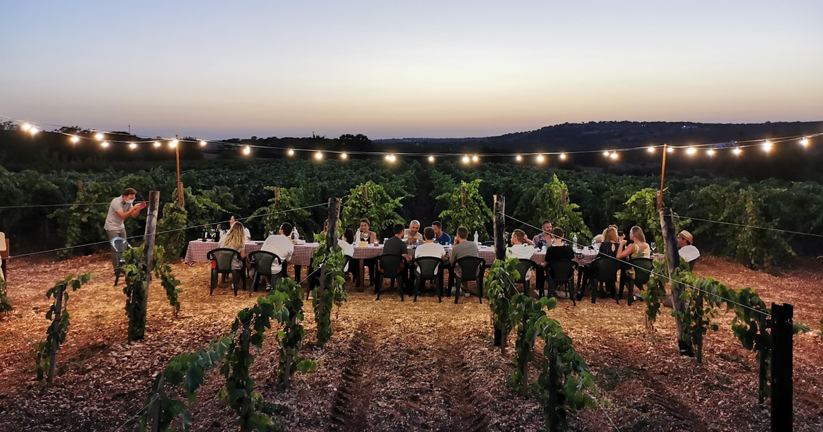 Apulia: Guided Wine Tasting with Local Appetizers | GetYourGuide