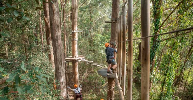 Ourimbah: Central Coast Treetops Adventure Tree Ropes Course | GetYourGuide