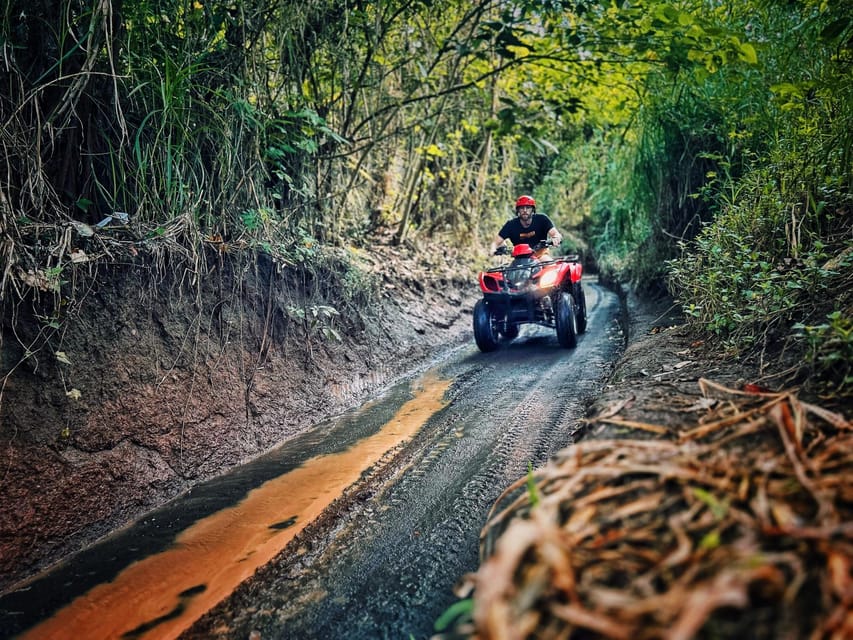 Bali: Ubud Gorilla Cave Track Excursión en quad y cascada con comida ...