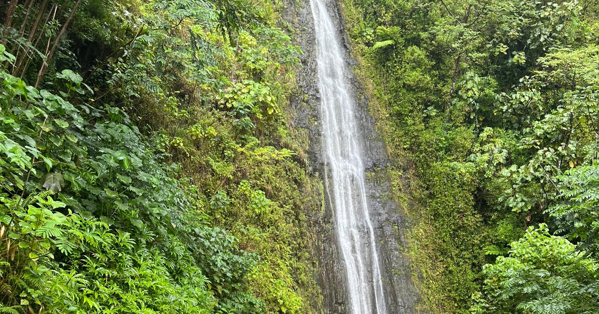 Hawaiian Waterfall Hike | GetYourGuide