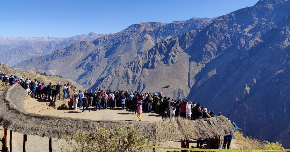 Colca Canyon Trip 2 Days + Transfer to Puno with Meals | GetYourGuide