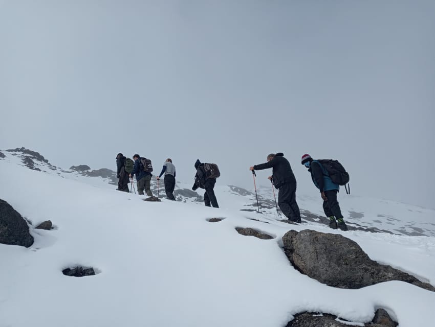 Mt. Kilimanjaro: Machame route - 8 Day itinerary. | GetYourGuide