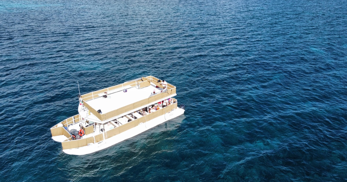Catamarán Premium Snacks, y Offene Bar | GetYourGuide