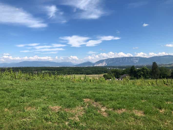 Geneva Countryside and Wine tasting By E-Bike | GetYourGuide