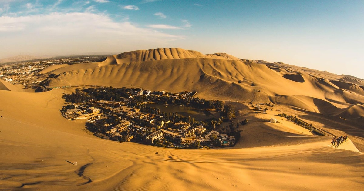From Lima: Ballestas Islands + Huacachina Oasis 1-Day | GetYourGuide