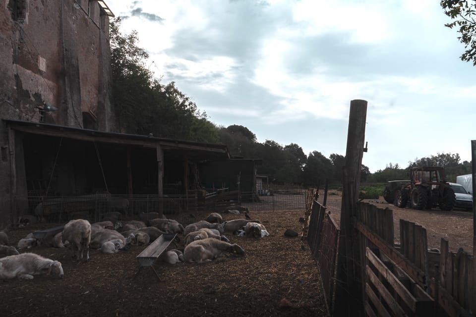 Caffarella Park: Rome's Secret Urban Hiking Paradise | GetYourGuide