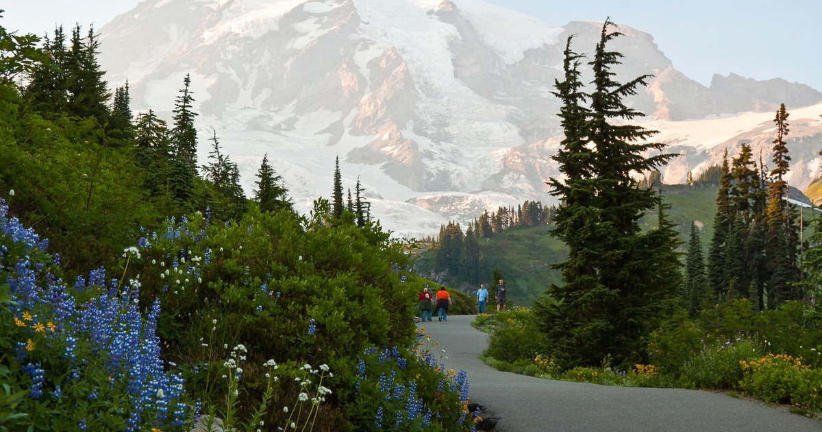 Seattle: Tour en grupo reducido con todo incluido por el Parque del ...