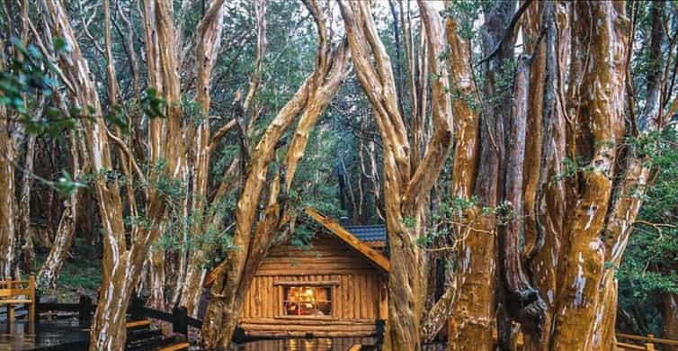 Bariloche: Arrayanes Forest and Victoria Island Tour | GetYourGuide