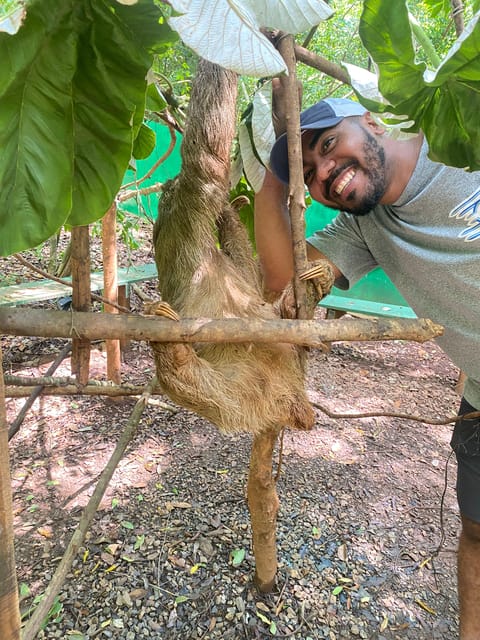 Roatan Sloths + Iguana | GetYourGuide