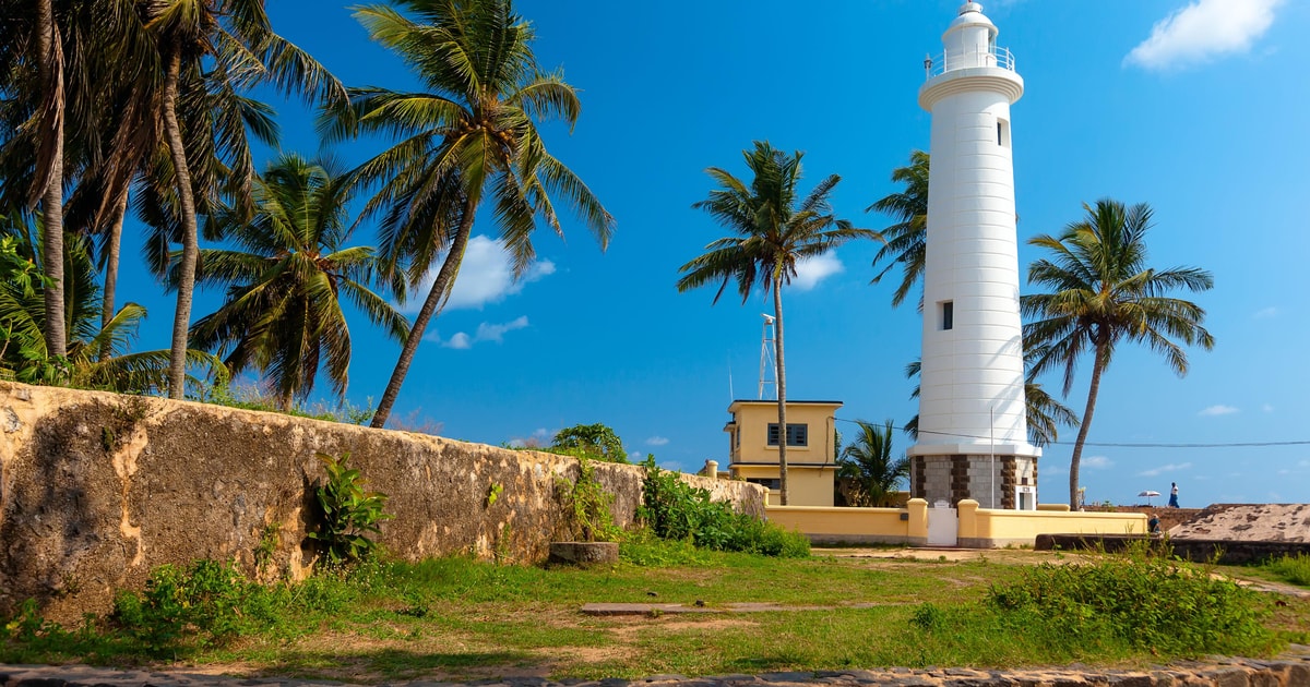 Galle Fort, Sea Turtles & Jungle Beach Private Day Tour | GetYourGuide