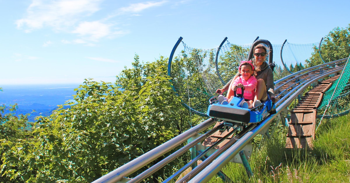 Stresa: Alpyland Alpine Coaster Ride on Mount Mottarone | GetYourGuide