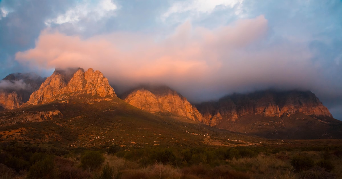 Kaapstad: Wandeltochten met gids door de Kaap Wijnlanden | GetYourGuide