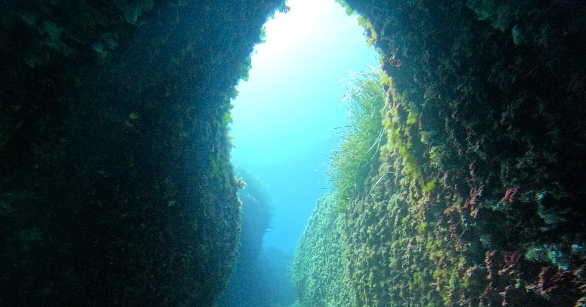 Menorca: Double Dive (Certified Divers) | GetYourGuide