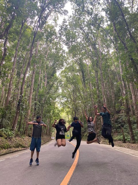 Bohol Countryside Private Tour From Cebu City | GetYourGuide