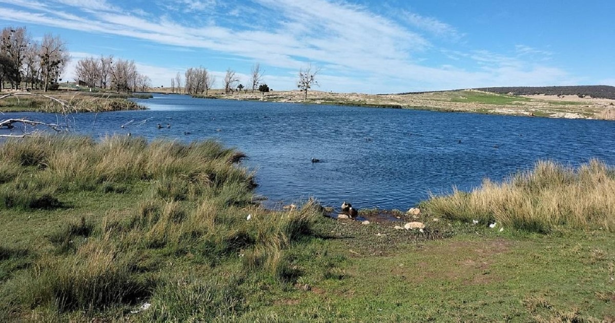 Fez to the Middle Atlas: Discovering Azrou and Cedar Forest | GetYourGuide