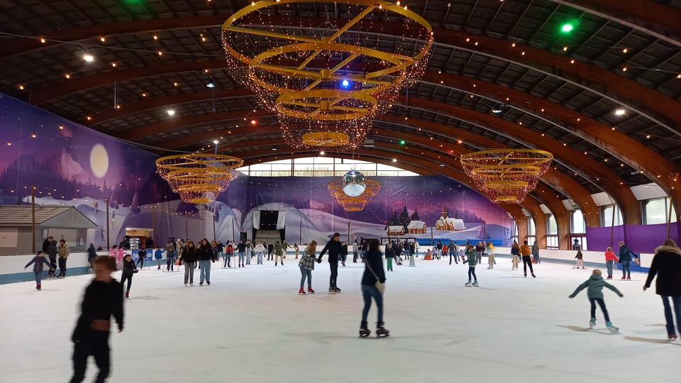 Bruges: Dolphin presentation, ice rink and indoor playground | GetYourGuide