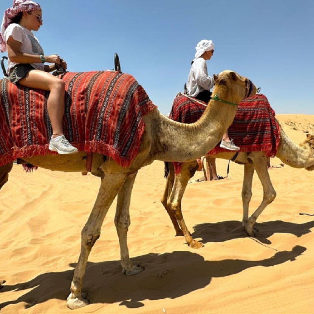 Doha: tour guidato nel deserto con giro in cammello, sandboarding e cibo | GetYourGuide