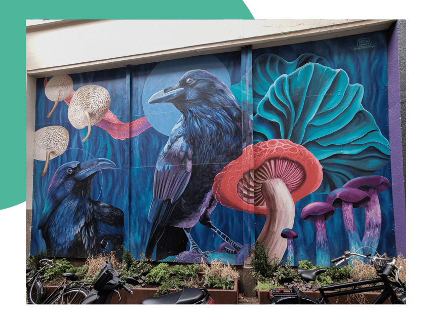 The Hague: Interactive Street Art Tour | GetYourGuide