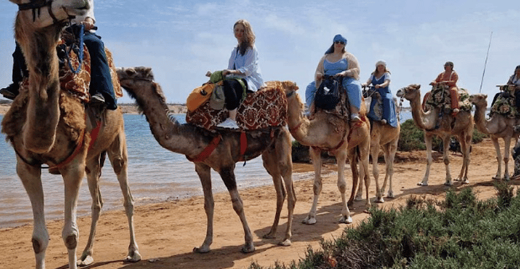 Agadir Camel Ride Tour adventure with old Medina tiket | GetYourGuide