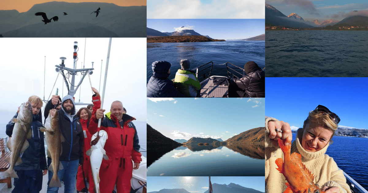 From Tromso: Polar Fishing Adventure | GetYourGuide