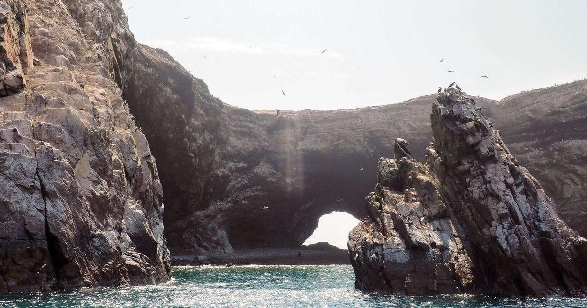 Excursão: Ilhas Ballestas e Reserva Nacional de Paracas | GetYourGuide