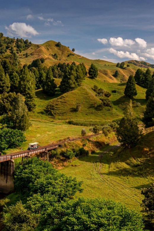 From Taumarunui: The Republic Rail Cart Adventure | GetYourGuide