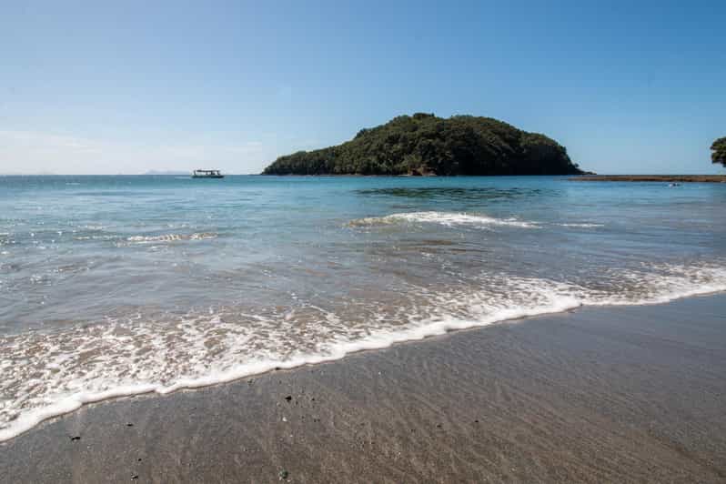 Isla de las Cabras: Tour en barco con fondo de cristal | GetYourGuide