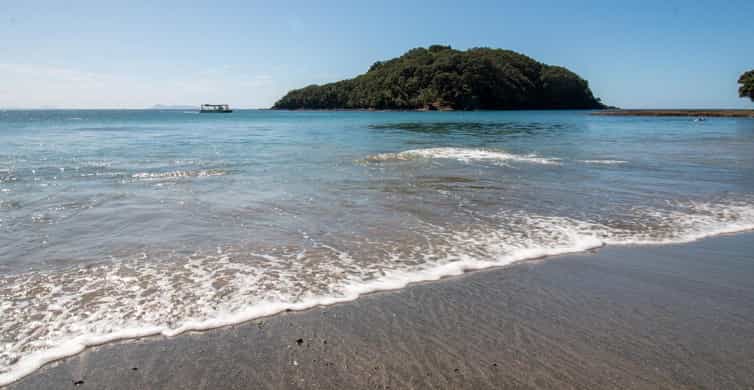 Isla de las Cabras: Tour en barco con fondo de cristal | GetYourGuide